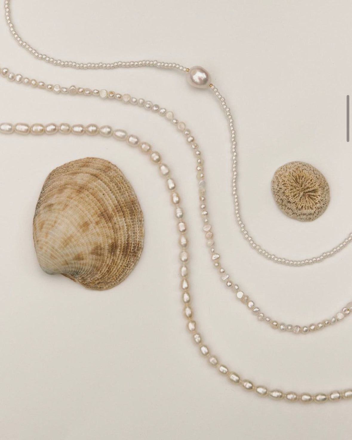 Shell and Thread – White Bohemian